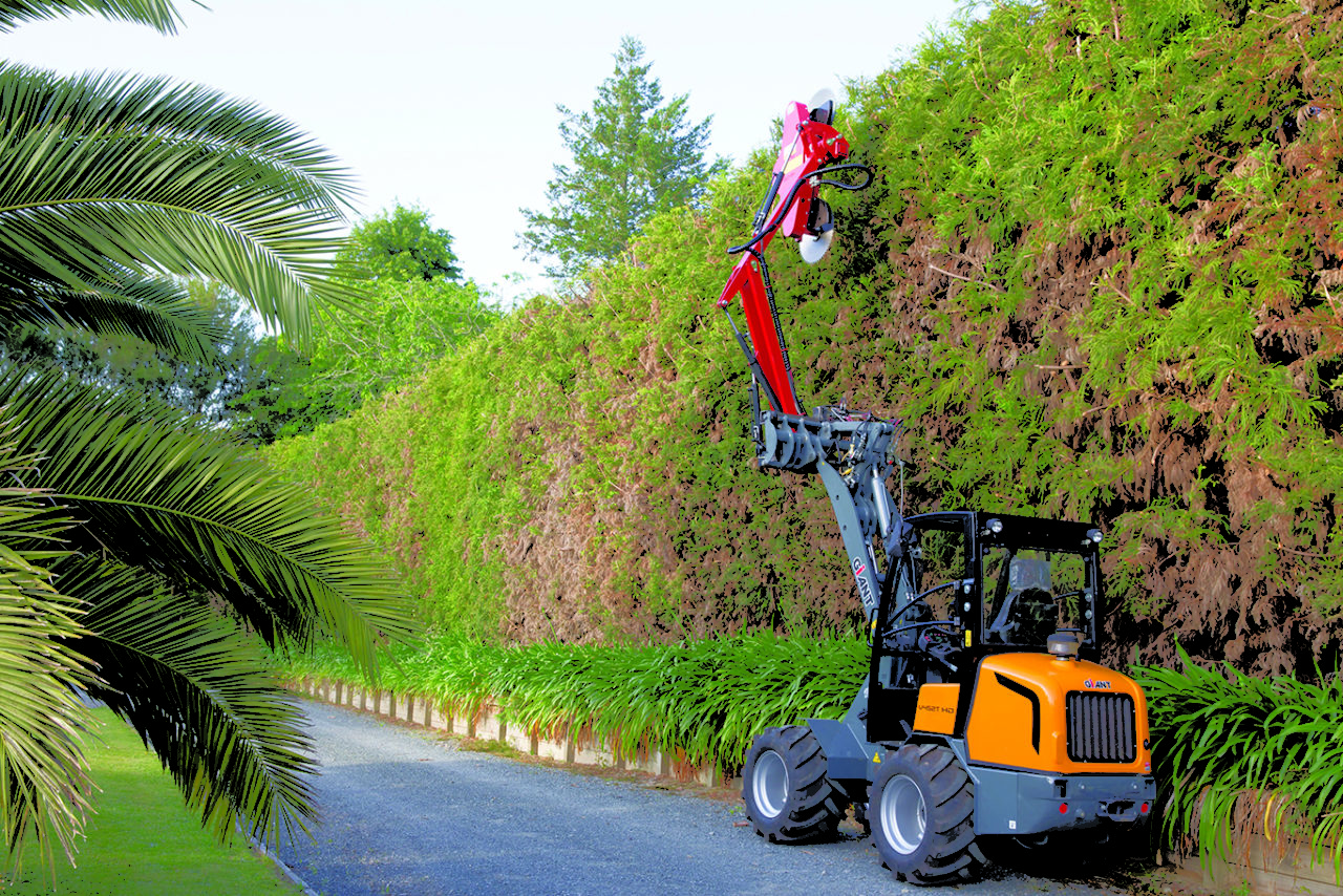 Hedge and shelter belt trimming service Tauranga